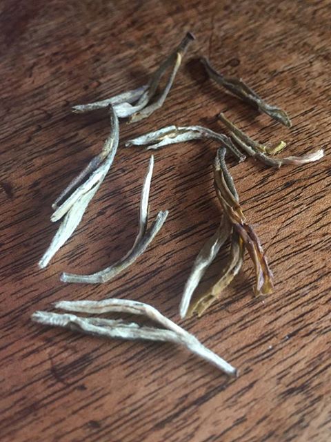 Chasing the White (Er, Yellow) Rabbit: How to get the Most out of the